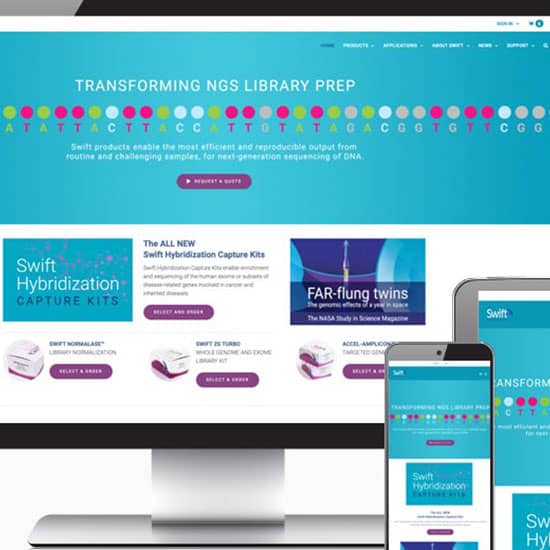 Web Design, Interactive, Print and Logo Design Western Michigan